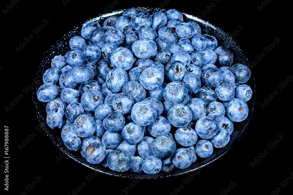 Swamp blueberry with water drops close up Stock Photo | Adobe Stock