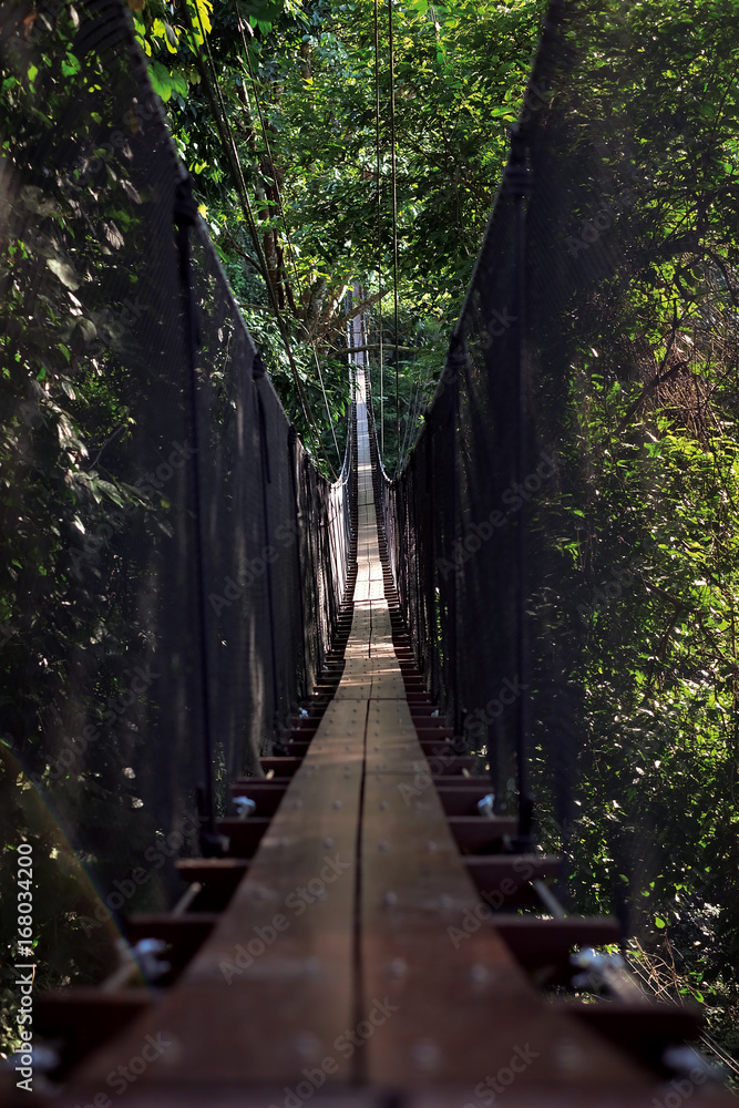 Doi Tung tree top walk, Suspension bridge for adventure in Thailand ...
