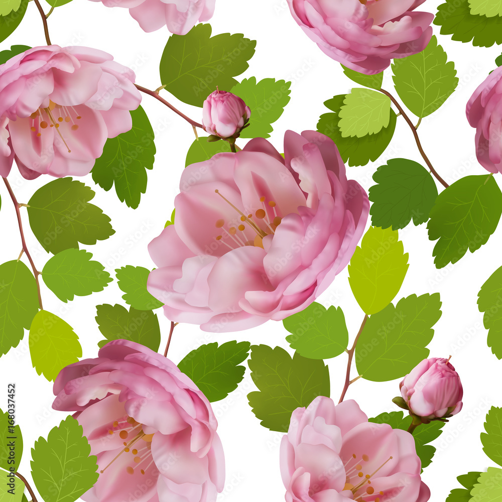 Beautiful seamless pattern with realistic roses on a white background ...