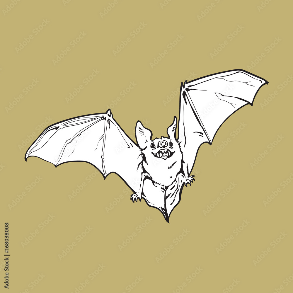 Flying Vampire Bat