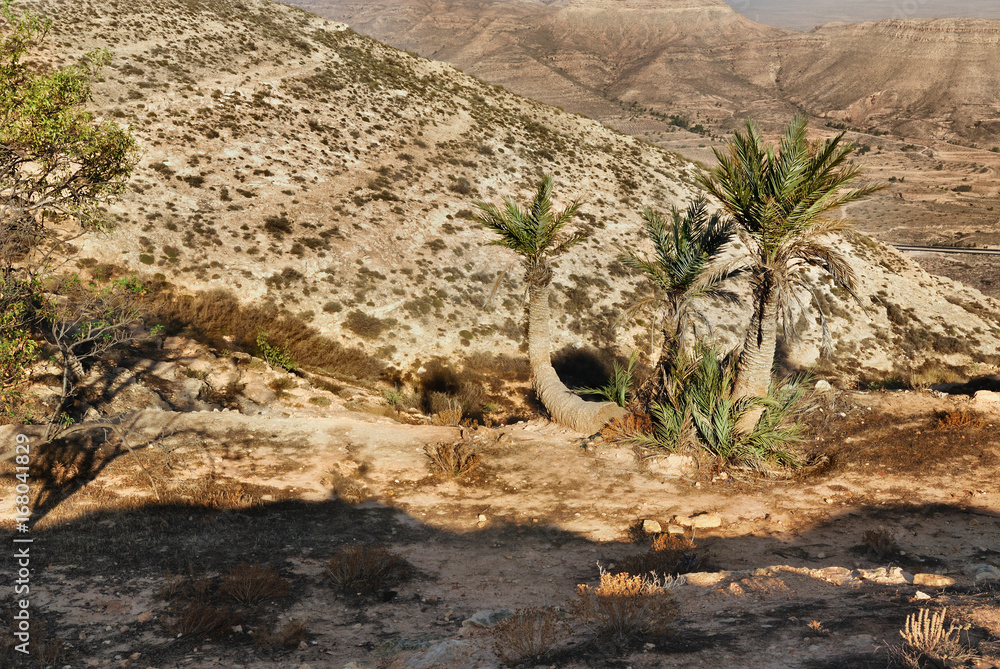 Panorama of a valley in the Gharyan, Libya. Libyan desert. Vintage ...
