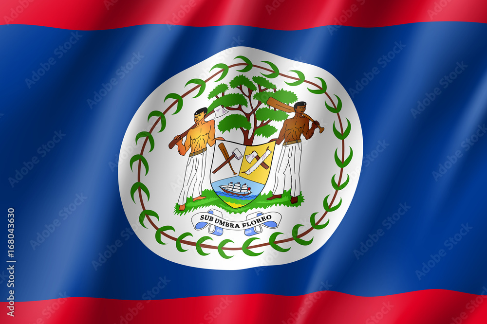 Flag Belize realistic icon. State insignia of the nation in realistic ...