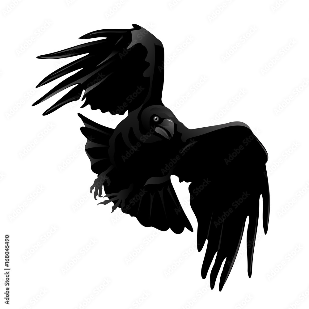 Vecteur Stock Raven (Corvus corax). Hand drawn vector silhouette of ...