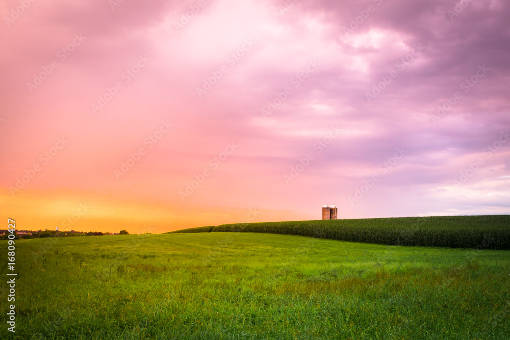 Beautiful farm field with grass, silo and corn at sunset. Amish country ...