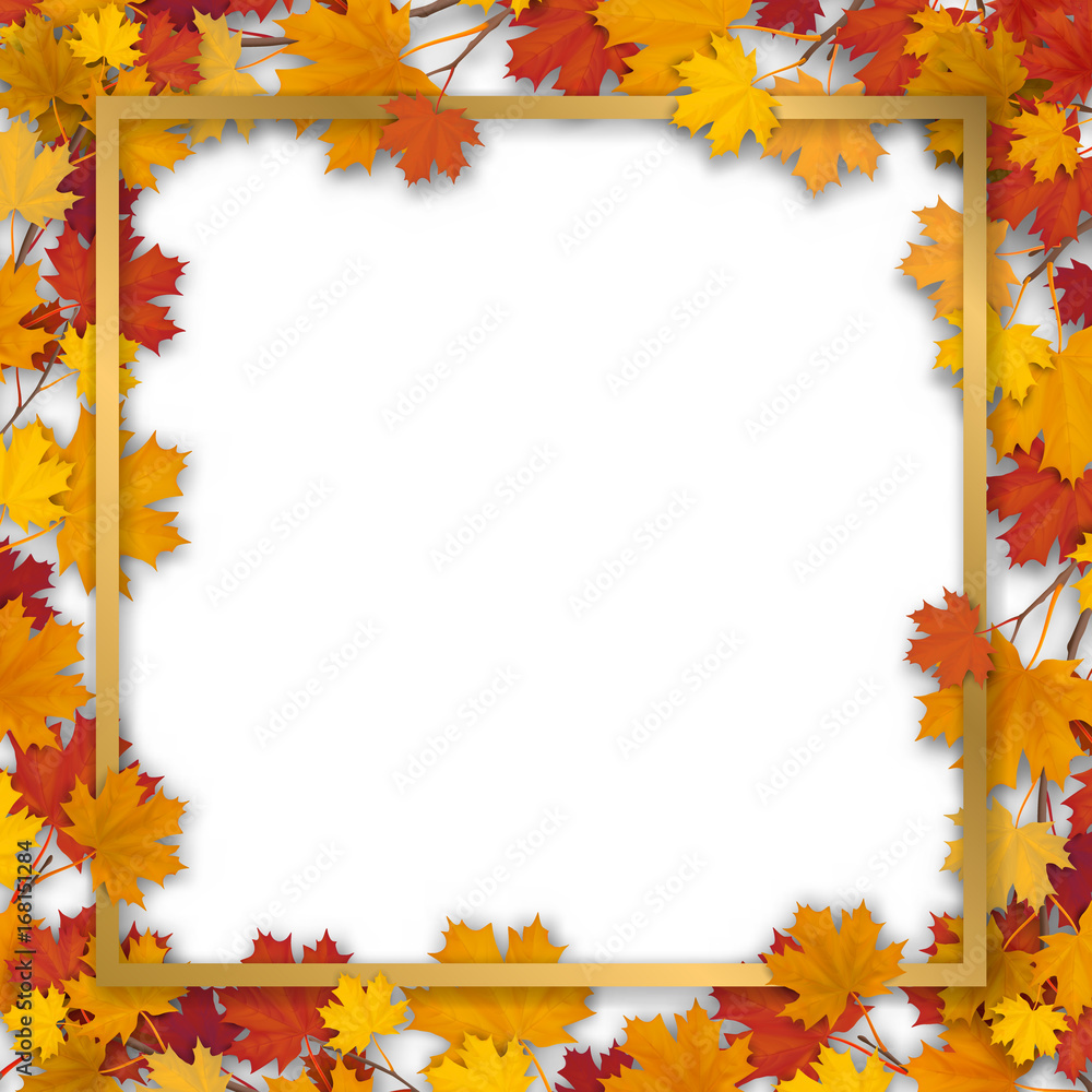 Autumn maple tree branch border. Golden frame in foliage. Vector ...
