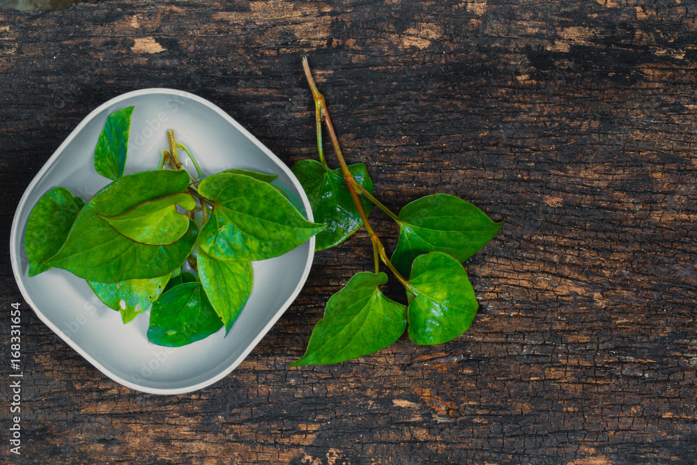 Houttuynia Cordata Fish plant or Plu Kaow vegetable with fish smell ...