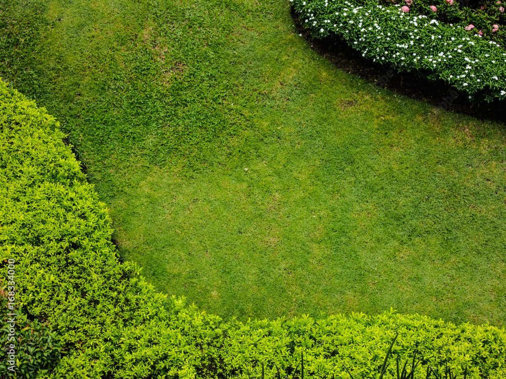 top view of green grass field plants and trees in the small garden ...