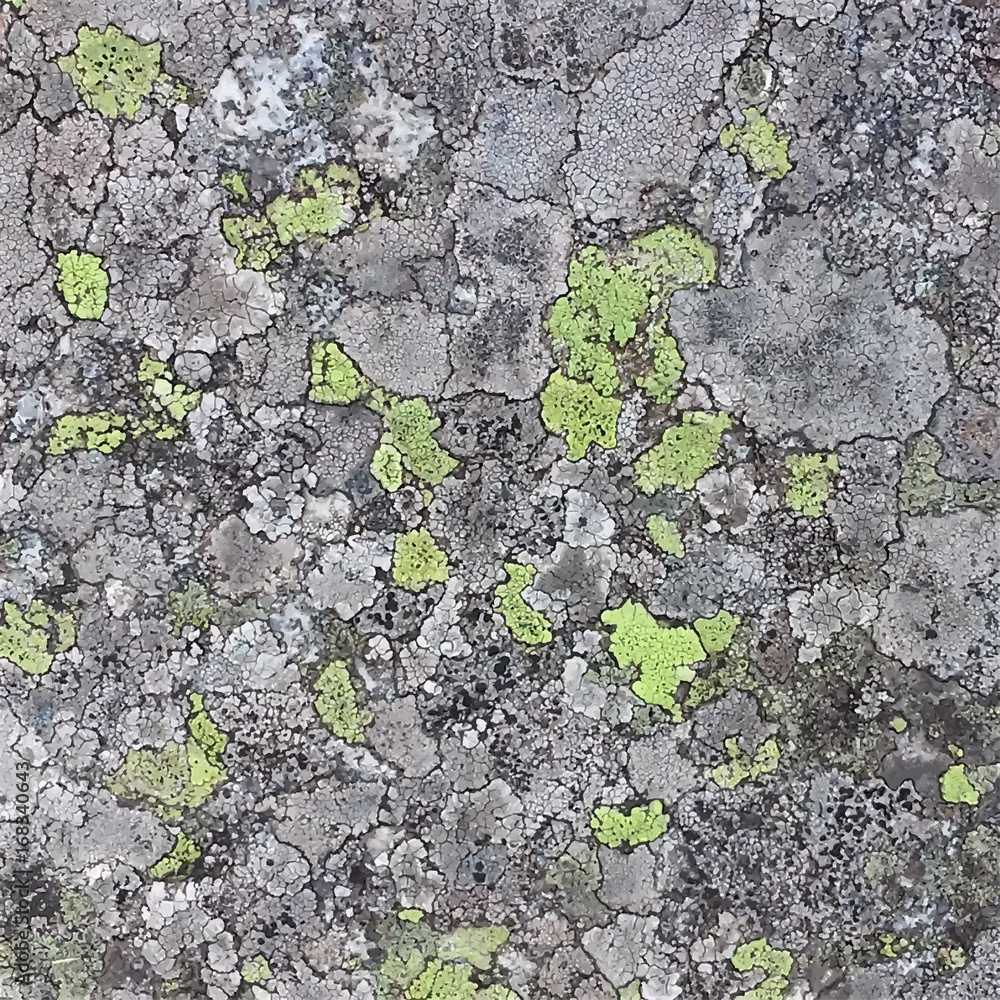 Realistic texture of old moss stone. Abstract cracked surface. Vector ...