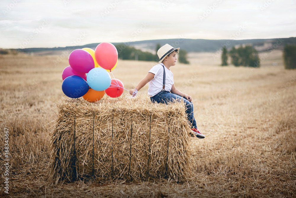 niño con globos en el campo Stock-Foto | Adobe Stock