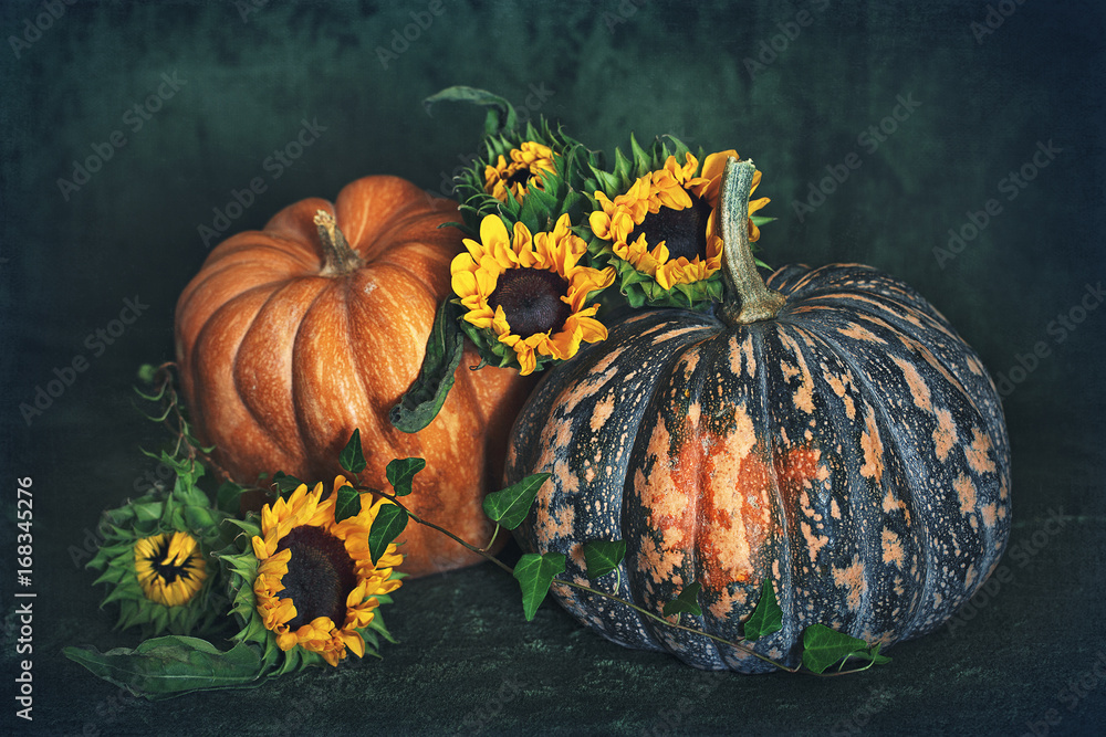Fall Pumpkin Sunflower Wallpaper