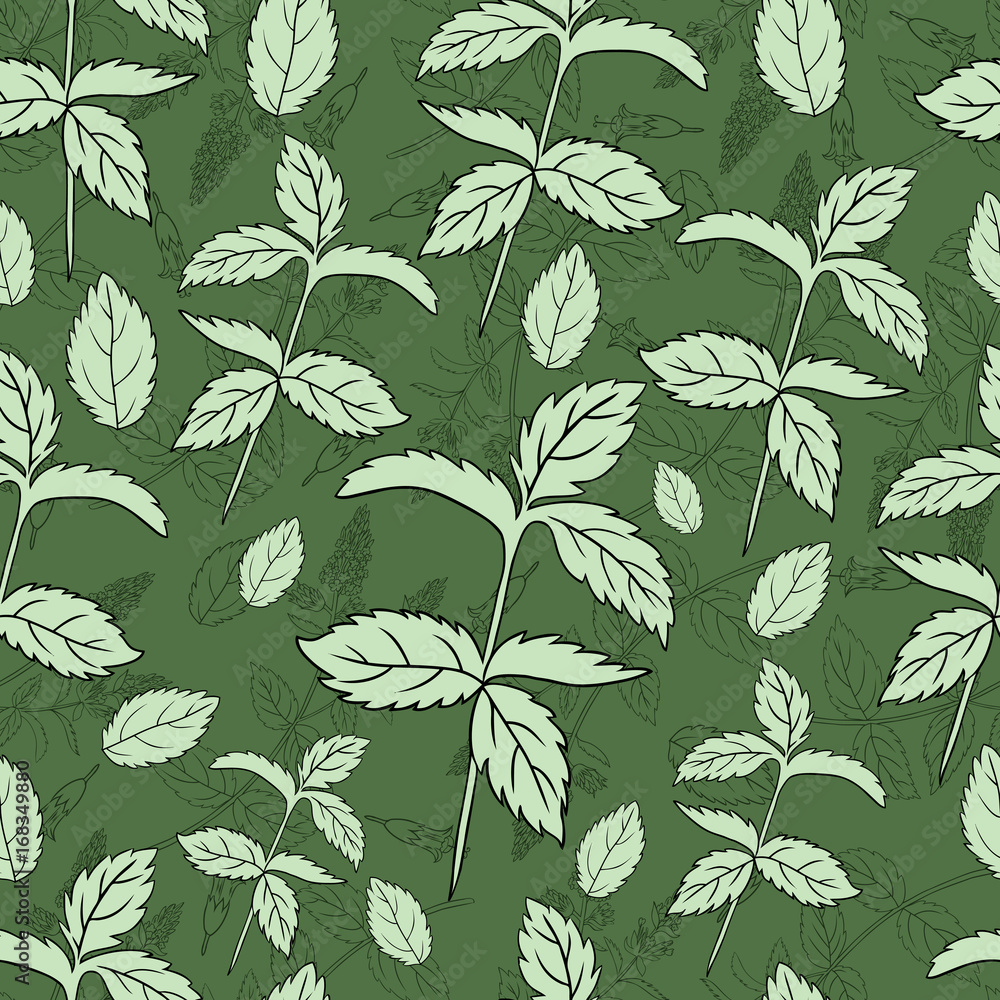 Mint Leaf Pattern