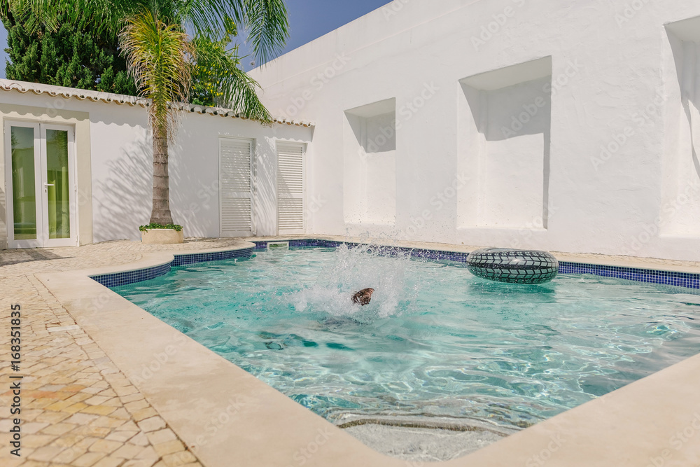 Moment child lands in swimming pool with body submerged Stock Photo ...
