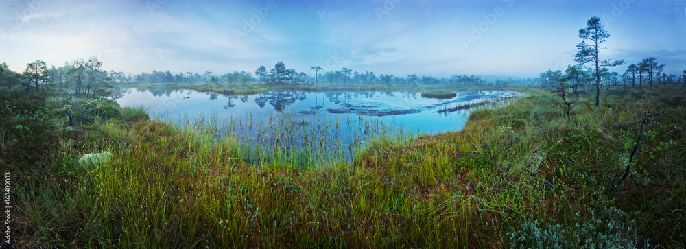 Foto de Sunrise in the bog. Icy cold marsh. Frosty ground. Swamp lake ...