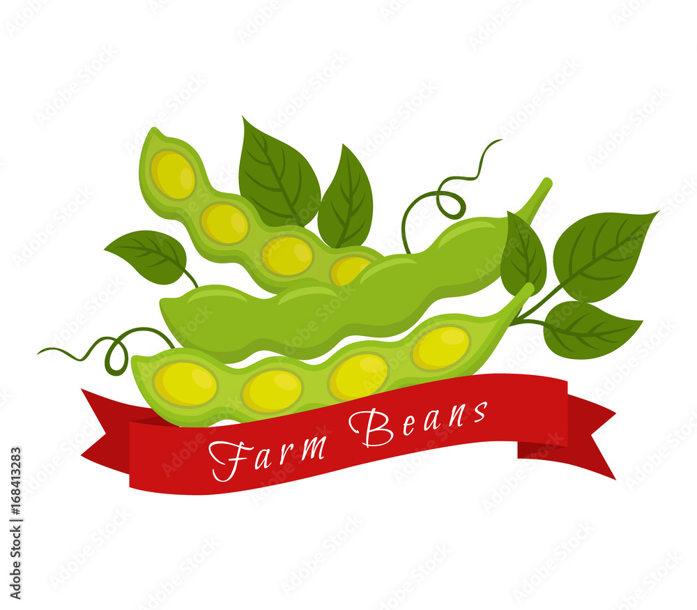 Soy beans label, logo. Farm product, vegetarian food. Vector ...