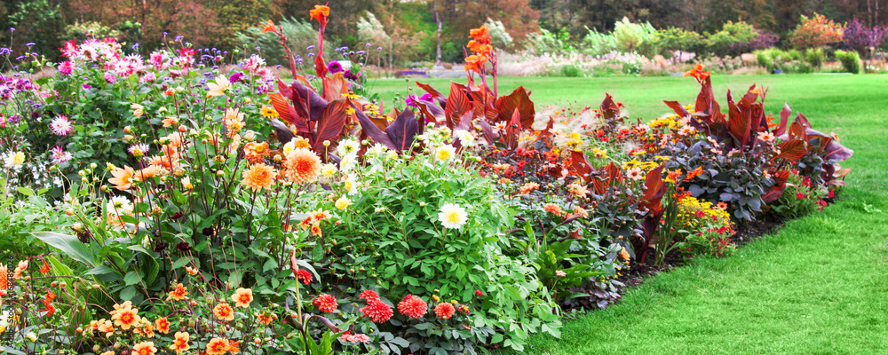 Herbst - Blumenbeet Stock-Foto | Adobe Stock