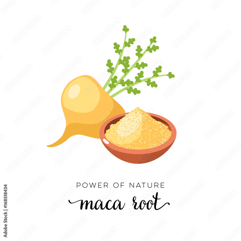 Superfood fruit. Maca root. Vector illustration cartoon flat icon ...