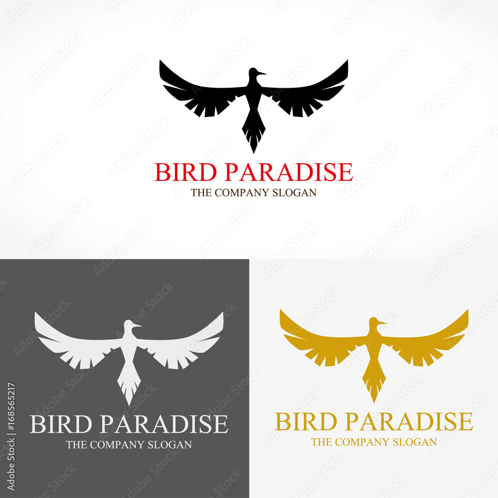 Bird logo Stock Vector | Adobe Stock