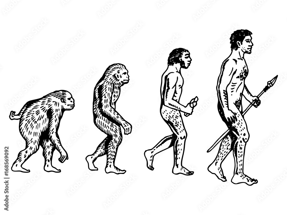 Human evolution engraving vector illustration Stock Vector | Adobe Stock