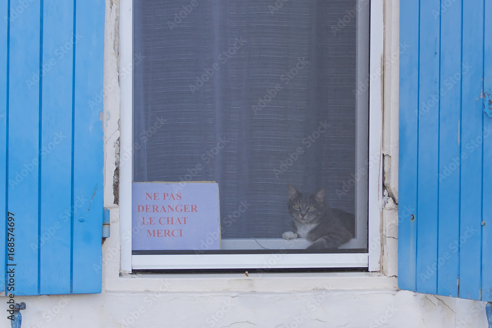 Placard on a window in South of France, funny cat at the window, do not ...