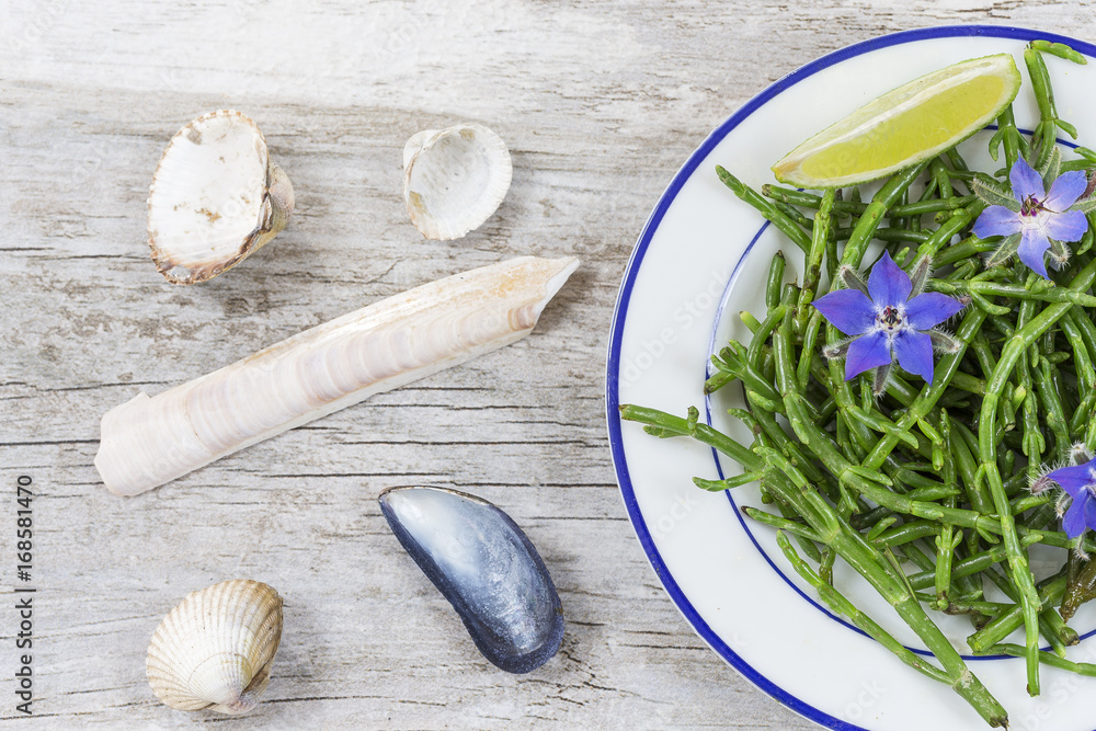 Samphire a coastal herb also known as sea beans glasswort pickleweed or ...