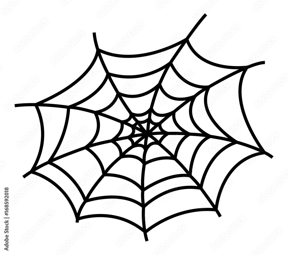 Spider Web Vector