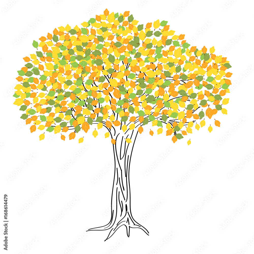 Colourful Drawings Of Trees With Leaves