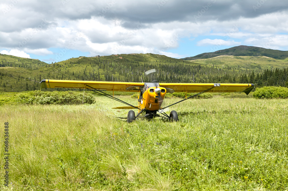 Small aircraft taking off on scenic country meadow Stock Photo | Adobe ...