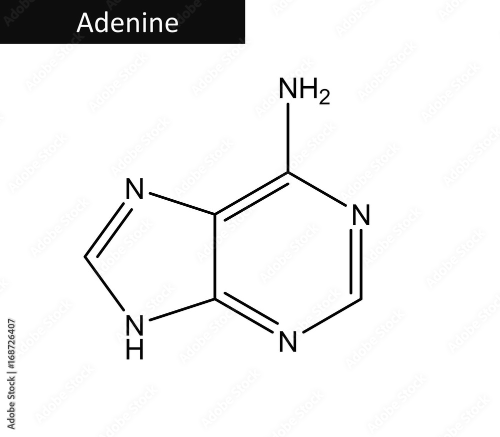 Structure Of Adenine