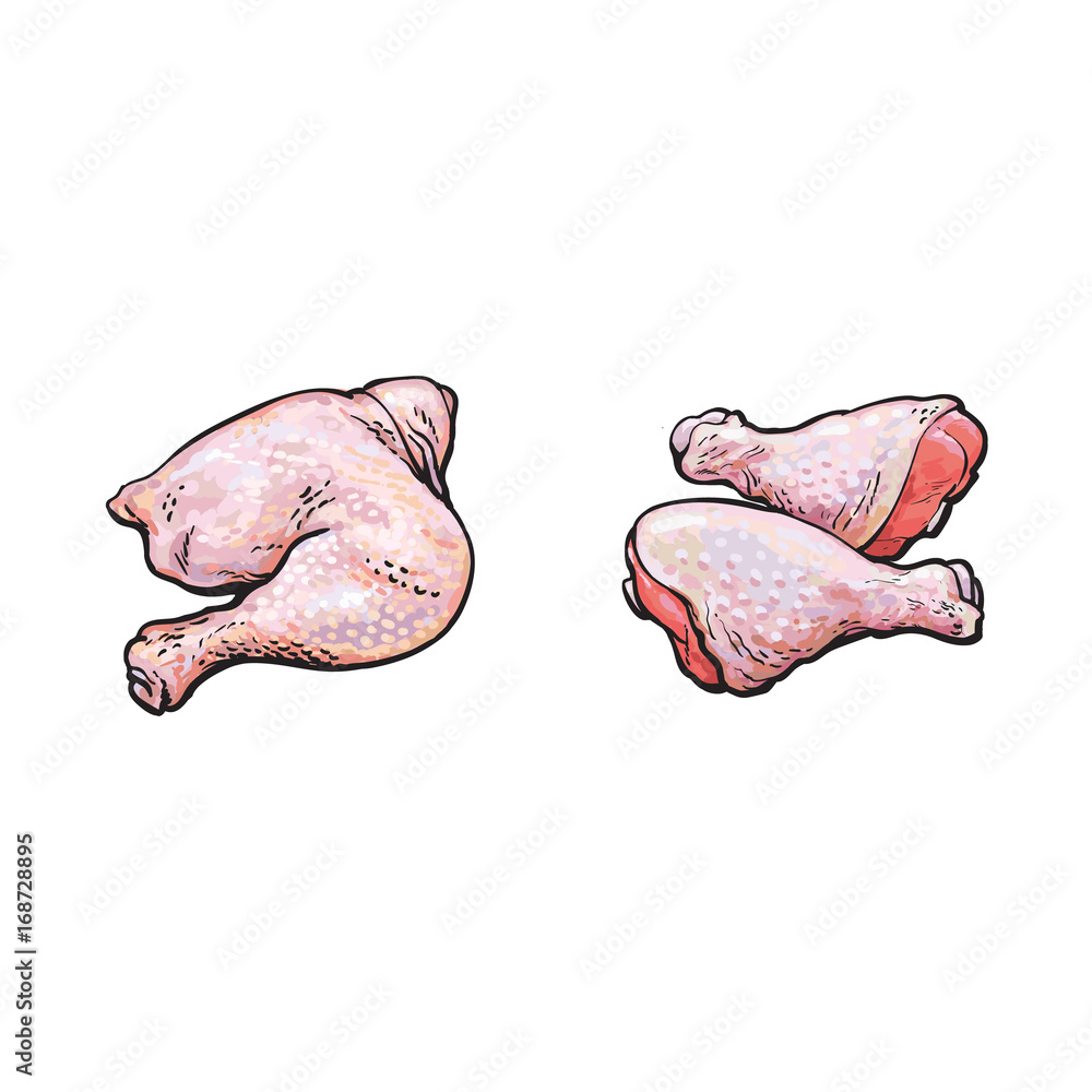 vector chicken thigh legs cartoon sketch illustration set. Isolated ...