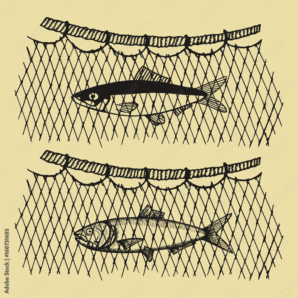 Fishing Net Drawing