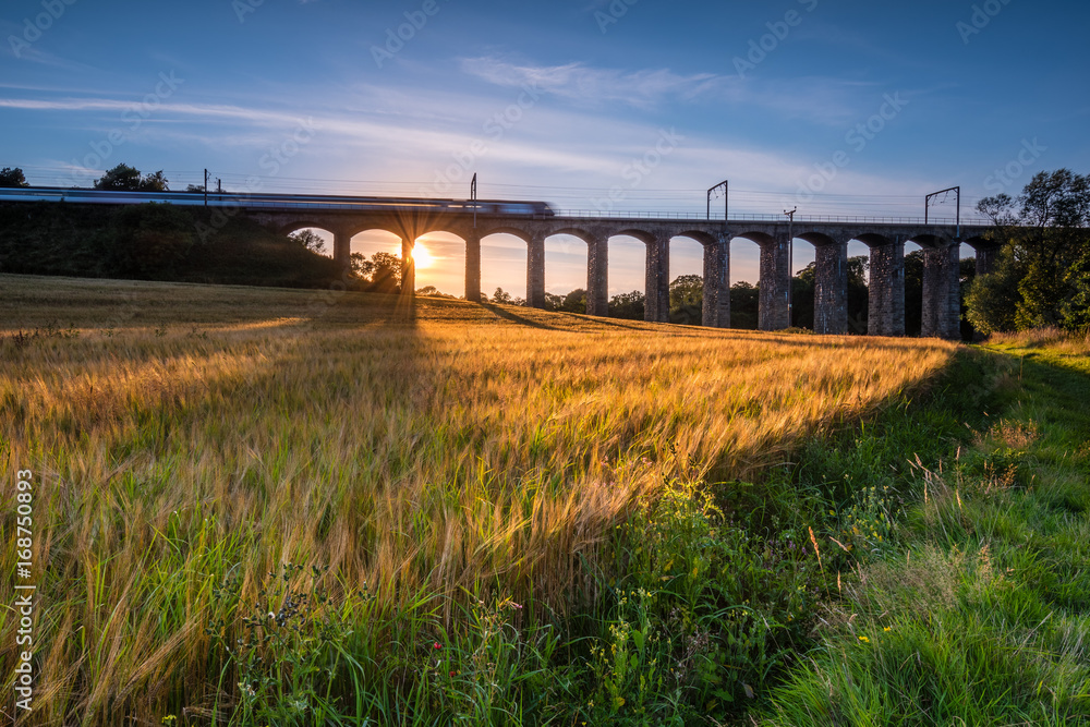 Train on River Aln Viaduct / A golden crop of barley below the railway ...