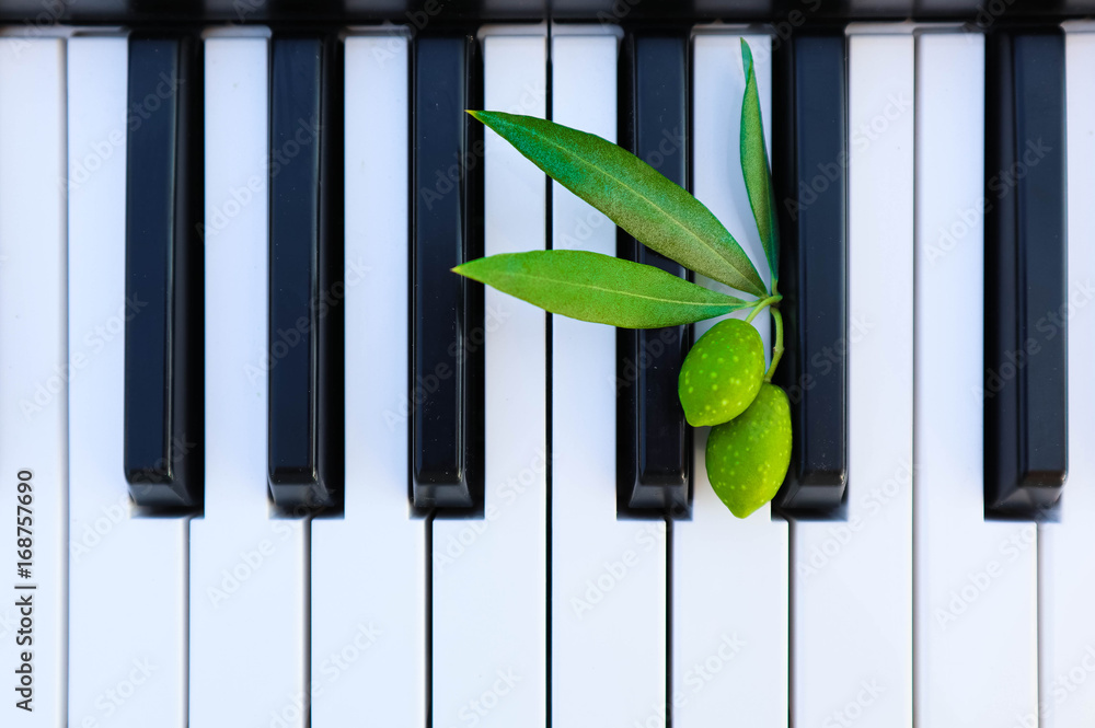 Olive brunches and piano, Greek music concept close up. Piano under ...