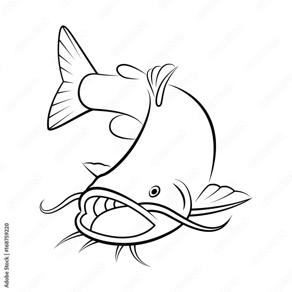 graphic catfish on white background, vector Stock Vector | Adobe Stock