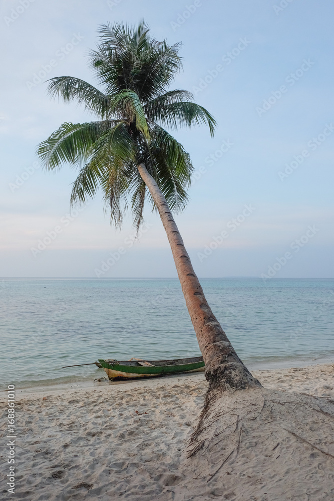 coconut tree on Karimunjawa island with boat Stock Photo | Adobe Stock