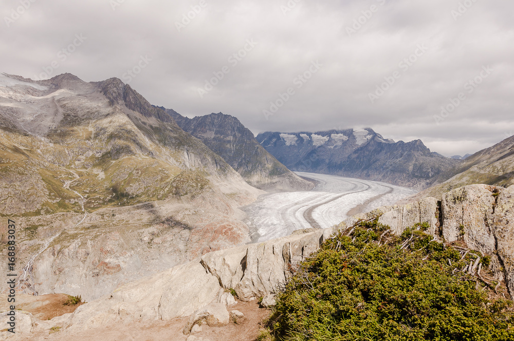 Riederalp, Dorf, Moosfluh, Aletsch, Aletschgletscher, Gletscher ...