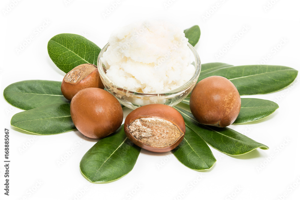 Shea nuts on leaves. Vitellaria Paradoxa Stock Photo | Adobe Stock