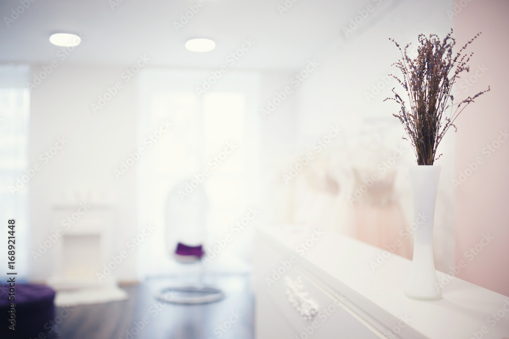 Abstract white shop background for wedding dresses, cafe, restaurant ...