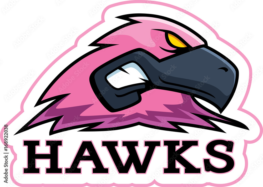 Cartoon Hawk Mascot