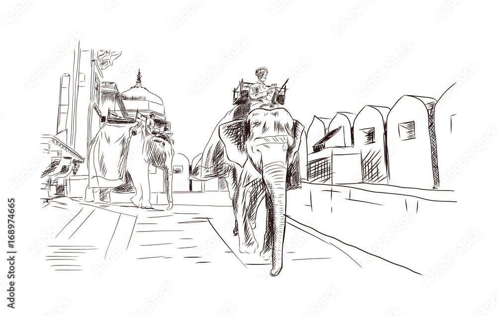 Sketch of Elephant on Amber fort Jaipur in vector illustration. Stock ...