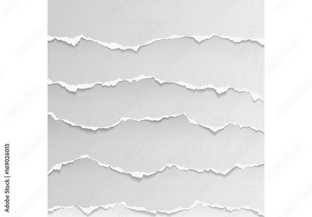 6 Textured Paper Tear Illustrations 2 Stock Template | Adobe Stock