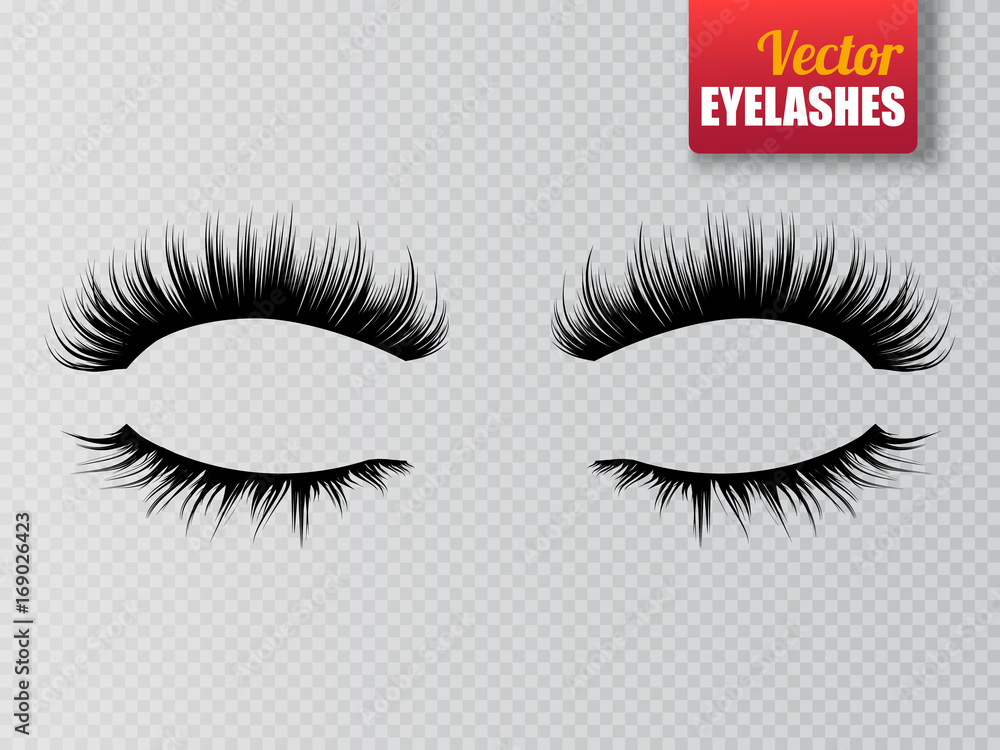 Lashes isolated on transparent background. False eyelashes set. Vector ...