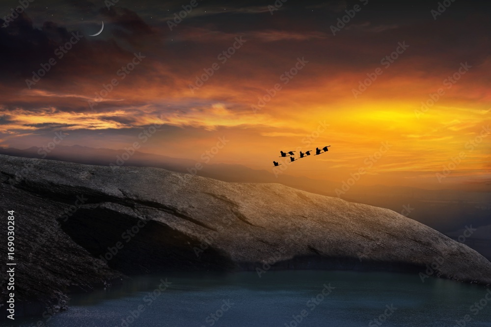 Beautiful sunset with moon . View on night sky . Silhouette of birds ...