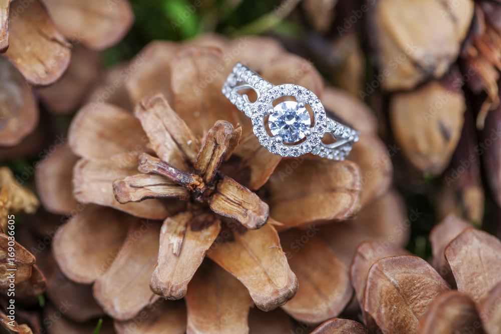 Beautiful shiny diamond ring at the autumn background Stock Photo ...