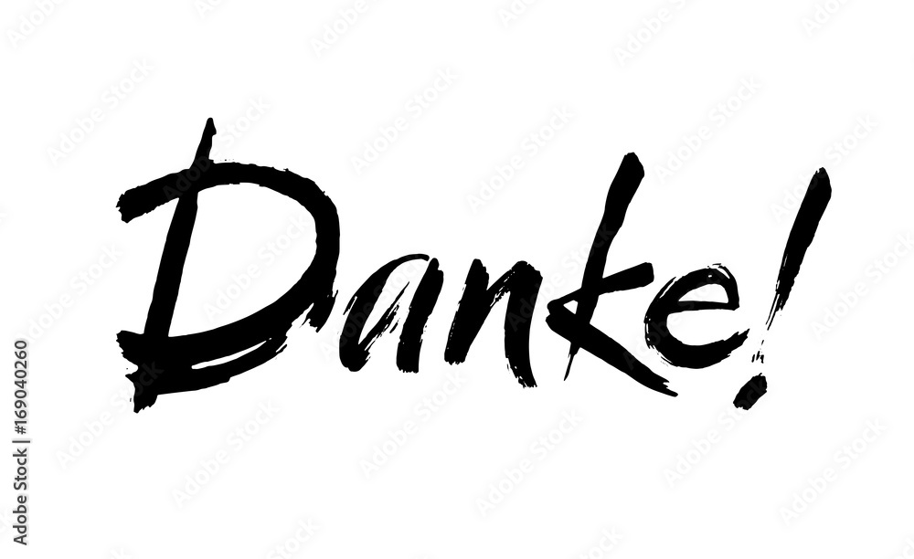 Thank you lettering in german. Danke Hand drawn vector phrase ...