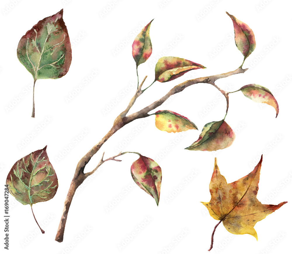 Autumn Tree Branch Clip Art