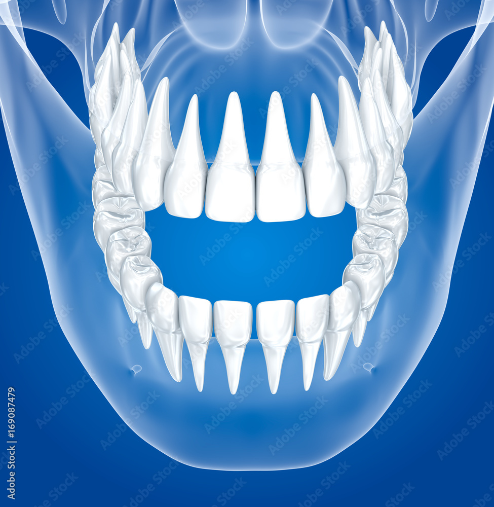 Transparent scull and teeth , xray view . 3D illustration . Stock ...