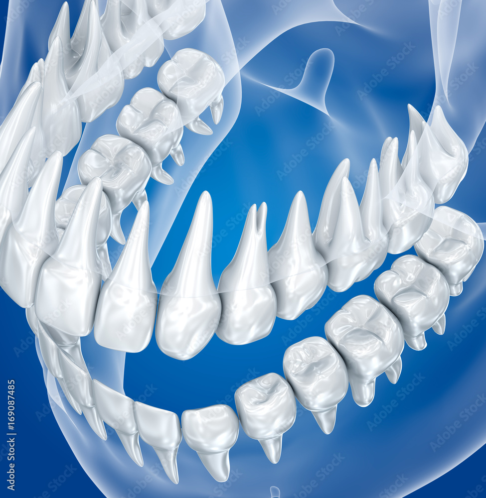 Transparent scull and teeth , xray view . 3D illustration . Stock ...