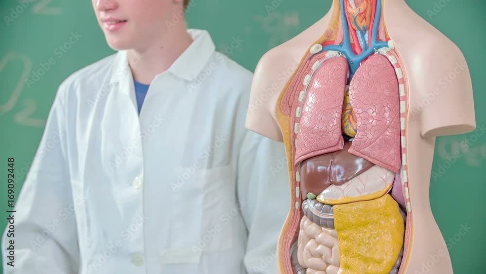 A young student starts describing the inner parts of a human body ...