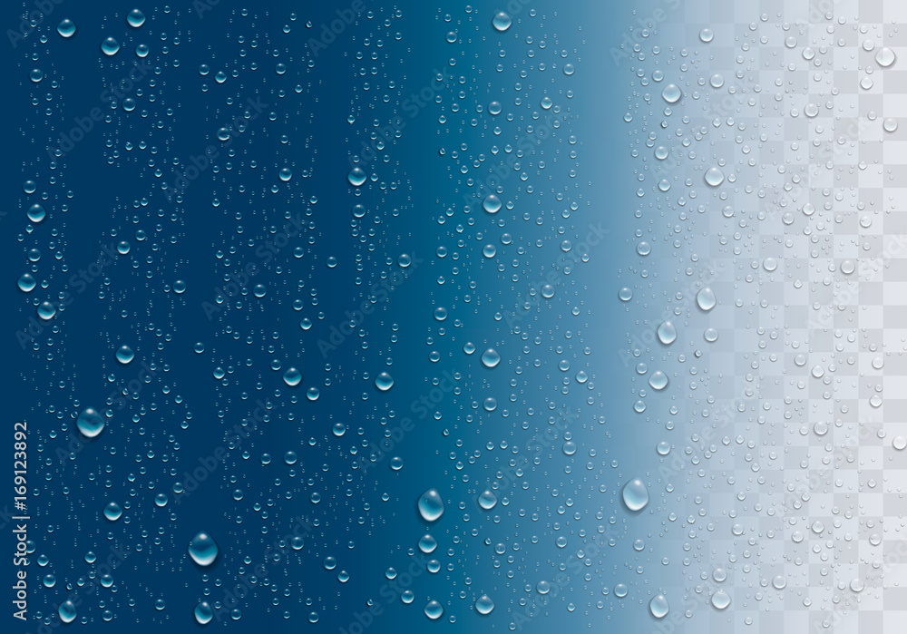 Realistic water droplets on the transparent window. Vector Stock Vector ...