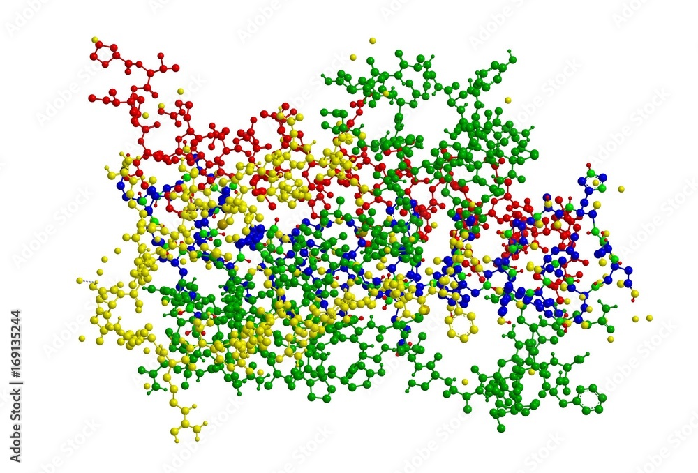 Molecular structure of Growth hormone (somatotropin), 3D rendering ...